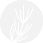 Juniper Allergy: Allergist In San Antonio, TX