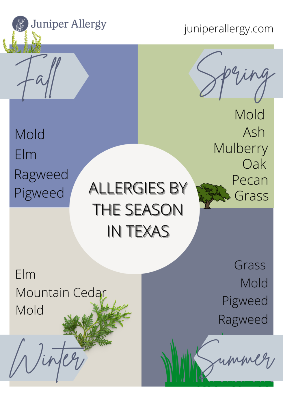 Allergy Season San Antonio | Juniper Allergy